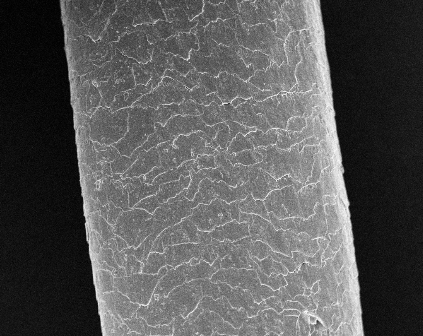 ホームケアの体感が変わる！F-Layerのヘアケア | cyurun